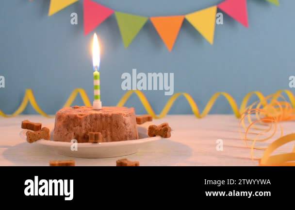 Wet party Stock Videos & Footage - HD and 4K Video Clips - Alamy