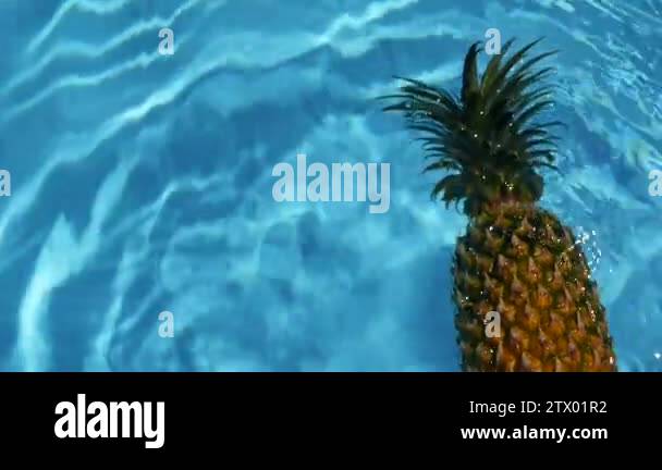 Pineapple Floating In blue Water In Swimming Pool. Healthy Raw Organic ...