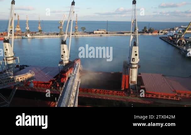 Panorama of ship loading grain crops on bulk freighter via trunk to ...