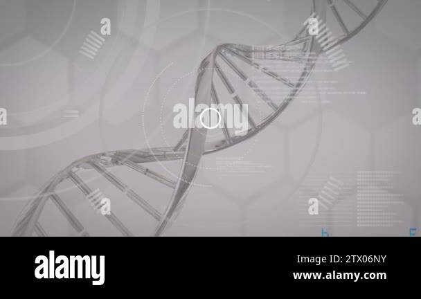 Animation of diminishing concentric rotating white rings with lines ...