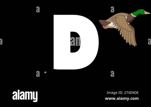 Animated zoological English alphabet. Alpha matte motion graphic ...