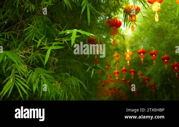 Chinese art on arch Stock Videos & Footage - HD and 4K Video Clips - Alamy