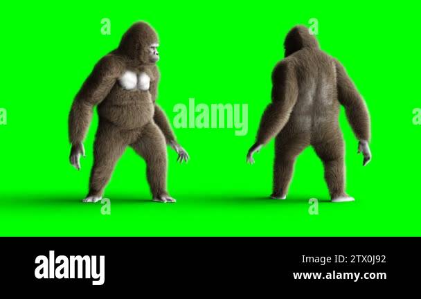 Funny brown gorilla stay idle. Super realistic fur and hair. Green ...
