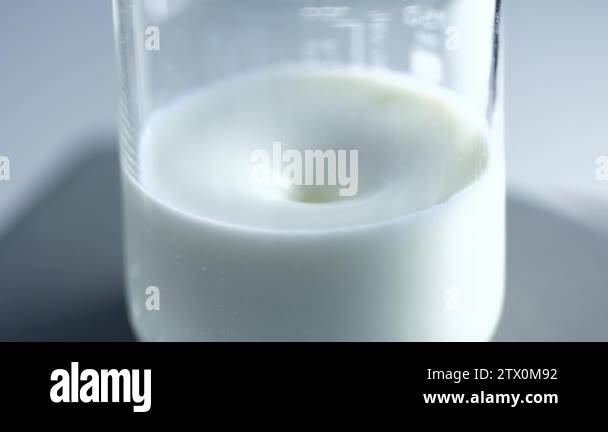 Lab experiments. Milk testing with chemical equipment. Reagent and milk ...