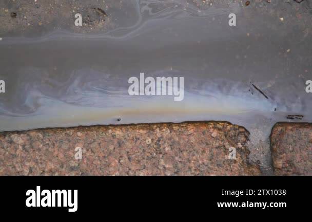 Water pollution polluted flowing Stock Videos & Footage - HD and 4K ...