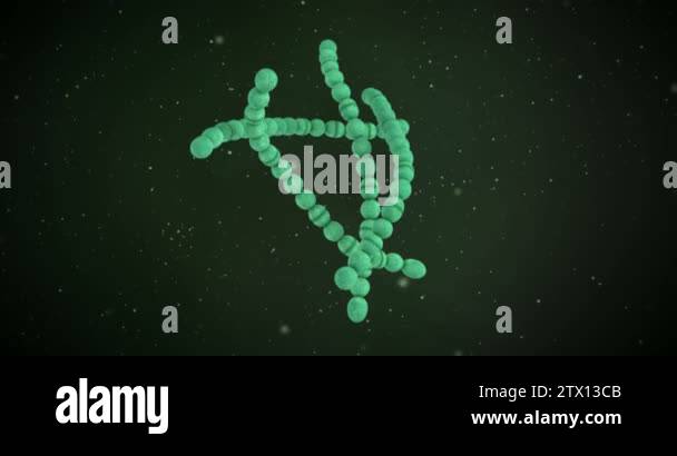 Streptococcus a Stock Videos & Footage - HD and 4K Video Clips - Alamy