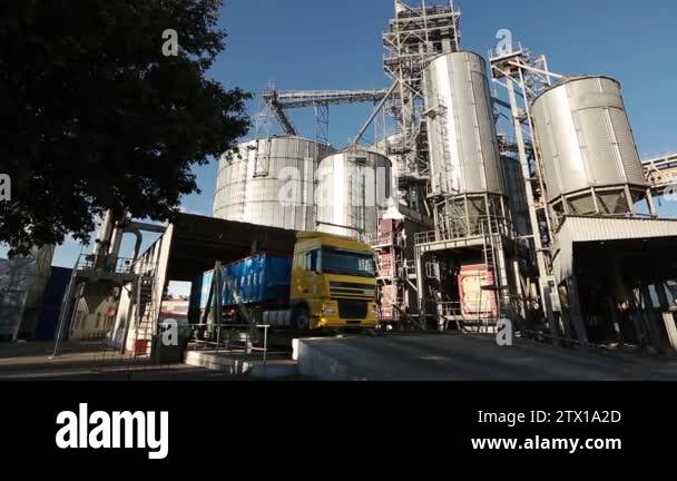 Panorama of unloading grain trucks at elevator on elevating hydraulic ...