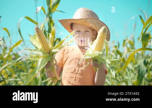 A boy in a straw hat is playing in a cornfield, the child is holding ...