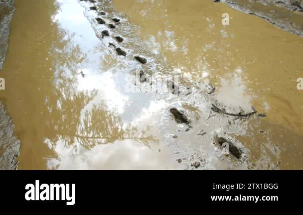 Mud prints Stock Videos & Footage - HD and 4K Video Clips - Alamy