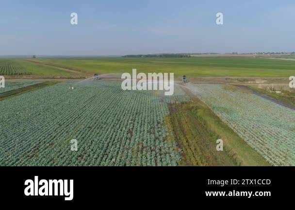 Center pivot aerial Stock Videos & Footage - HD and 4K Video Clips - Alamy