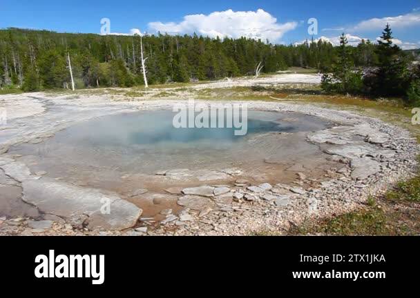 Geyser habitat Stock Videos & Footage - HD and 4K Video Clips - Alamy