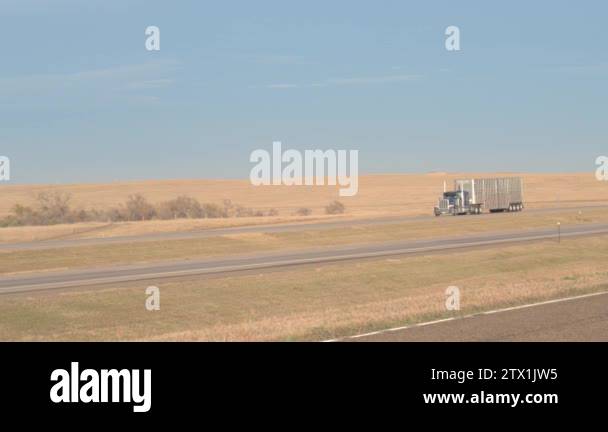 CLOSE UP: Freight cattle container semi truck transporting live animals ...