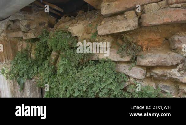 Medieval house wall Stock Videos & Footage - HD and 4K Video Clips - Alamy