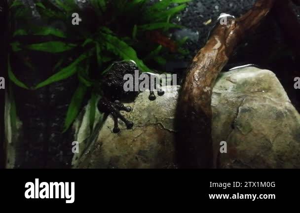 Diversity order Stock Videos & Footage - HD and 4K Video Clips - Alamy