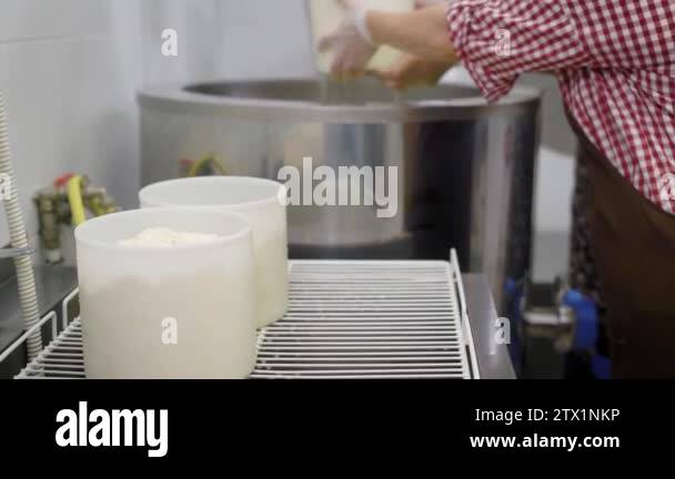 Employee of a cheesemaking factory putting cheese curd in a plastic ...
