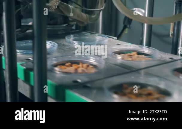 Plastic plates with bread snacks are getting sealed. Packaging process ...