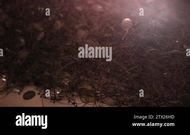 Rusty eye glasses Stock Videos & Footage - HD and 4K Video Clips - Alamy
