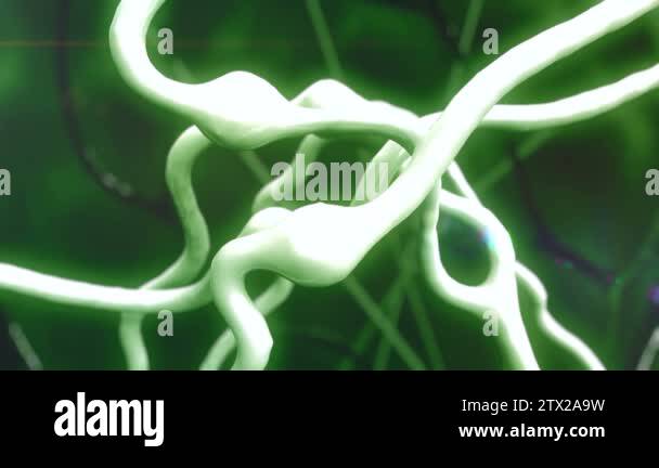 Neurons and neural system, Active nerve cell in human neural system ...