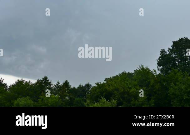 Storm and shower with lightning. Heavy rain with black clouds and wind ...