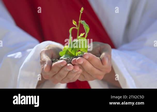 Holding robe Stock Videos & Footage - HD and 4K Video Clips - Alamy