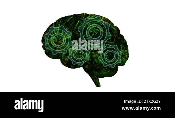 Mechanism brain Stock Videos & Footage - HD and 4K Video Clips - Alamy