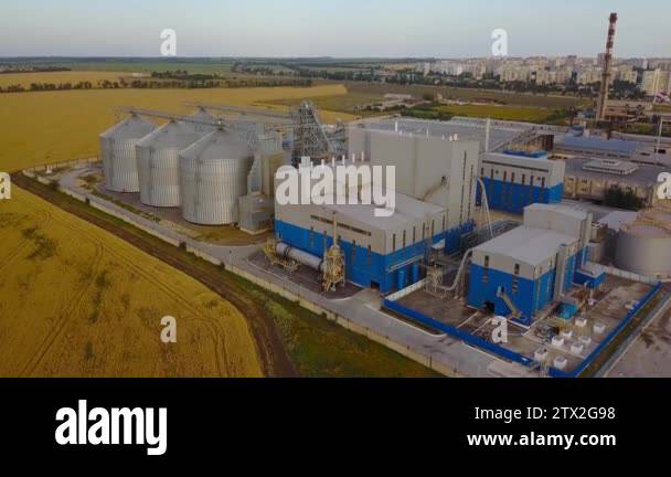Aerial of big steel grain silos elevators storage at the yellow wheat field. Agriculture ...