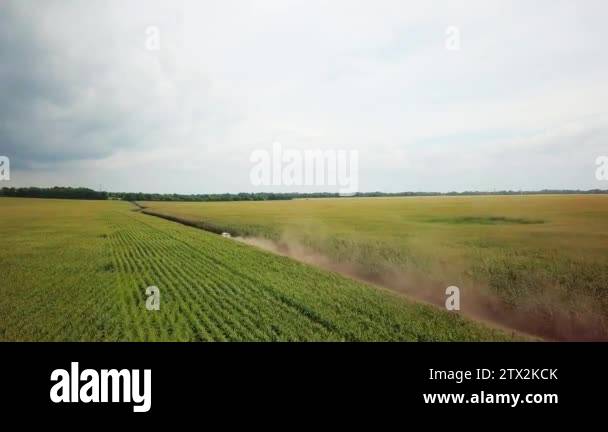 Road through corn field Stock Videos & Footage - HD and 4K Video Clips ...