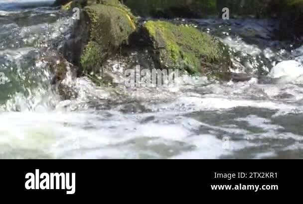 Water flow slow motion Stock Videos & Footage - HD and 4K Video Clips ...