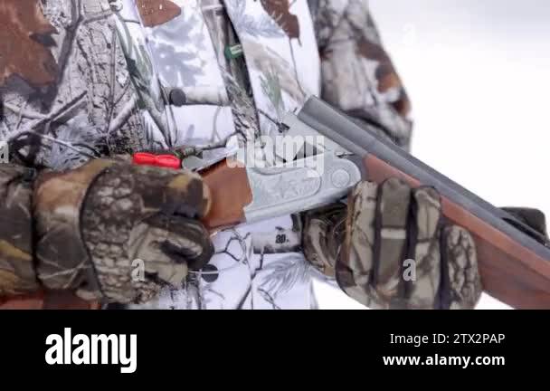 The hunters hands charge the double-barreled gun with cartridges Stock ...