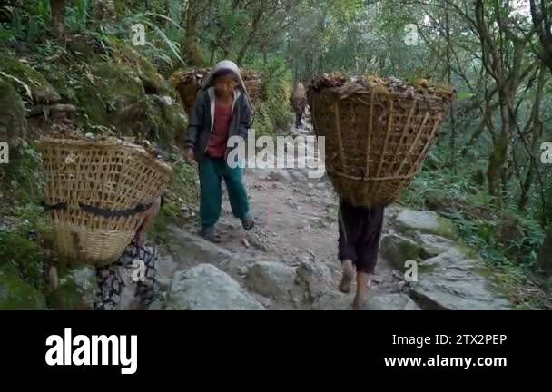 Sherpa porters carry heavy loads Stock Videos & Footage - HD and 4K ...