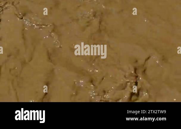 A stream of dirty, muddy and yellow water. Pollution of the environment ...