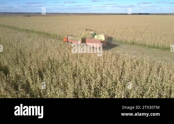 Vehicle unloading Stock Videos & Footage - HD and 4K Video Clips - Alamy