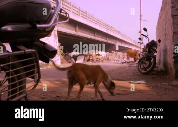 Entry food Stock Videos & Footage - HD and 4K Video Clips - Alamy