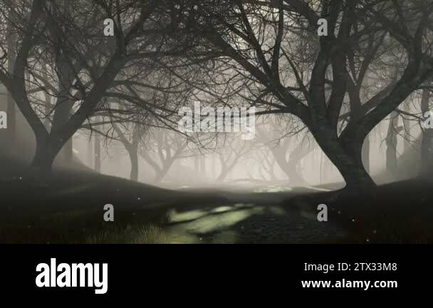 Mysterious forest with magical firefly lights flying in the air among ...