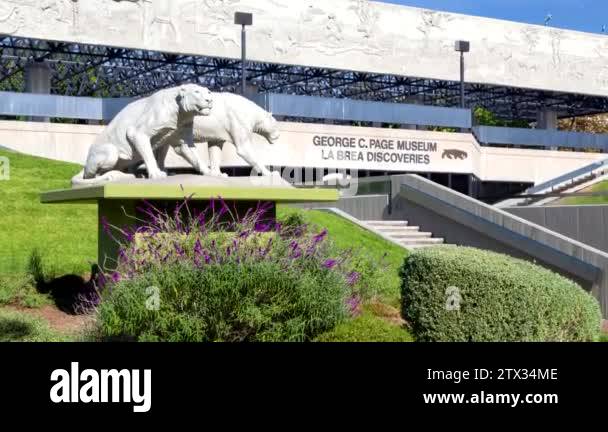 Tar pits Stock Videos & Footage - HD and 4K Video Clips - Alamy
