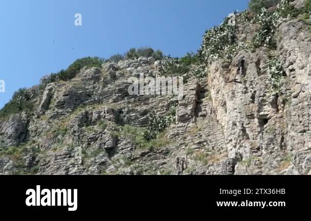 Cliff colony Stock Videos & Footage - HD and 4K Video Clips - Alamy