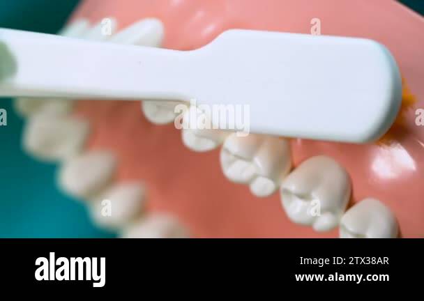 Oral medicine and jaw medicine Stock Videos & Footage - HD and 4K Video ...