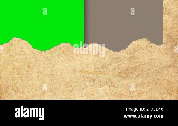 Ripped up book Stock Videos & Footage - HD and 4K Video Clips - Alamy