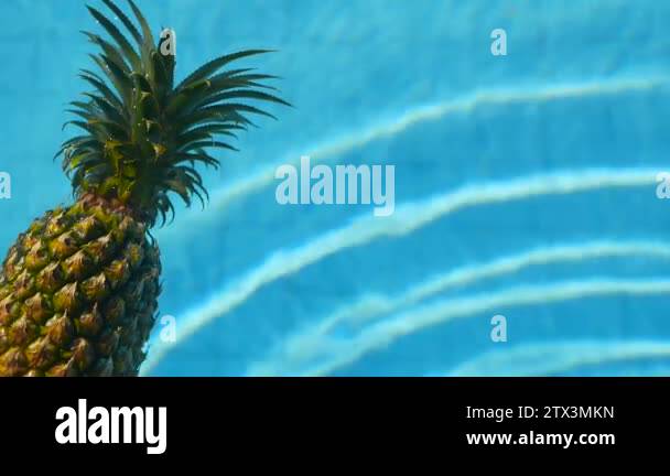 Pineapple Floating In blue Water In Swimming Pool. Healthy Raw Organic ...