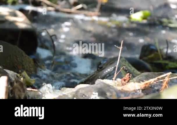 Water runnel Stock Videos & Footage - HD and 4K Video Clips - Alamy