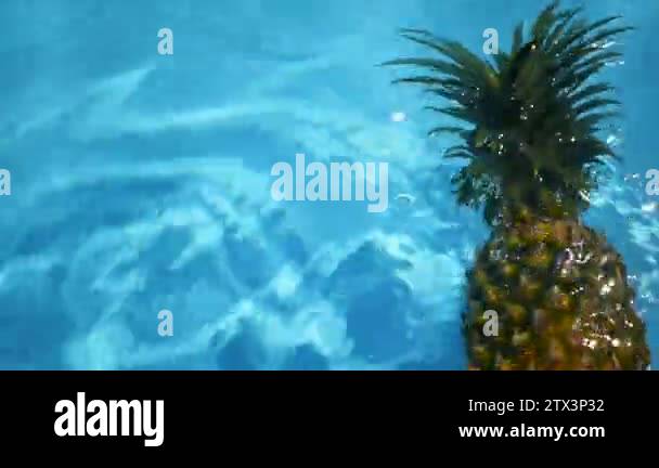 Pineapple Floating In blue Water In Swimming Pool. Healthy Raw Organic ...