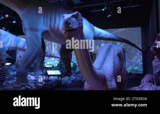 Dinosaurs discovery Stock Videos & Footage - HD and 4K Video Clips - Alamy