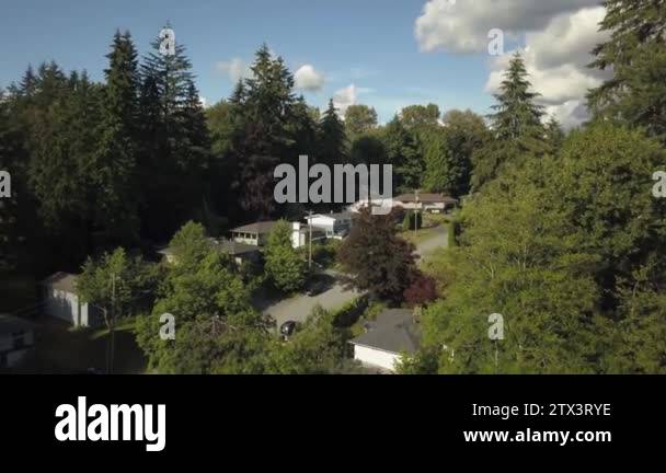 Trees british columbia Stock Videos & Footage - HD and 4K Video Clips ...