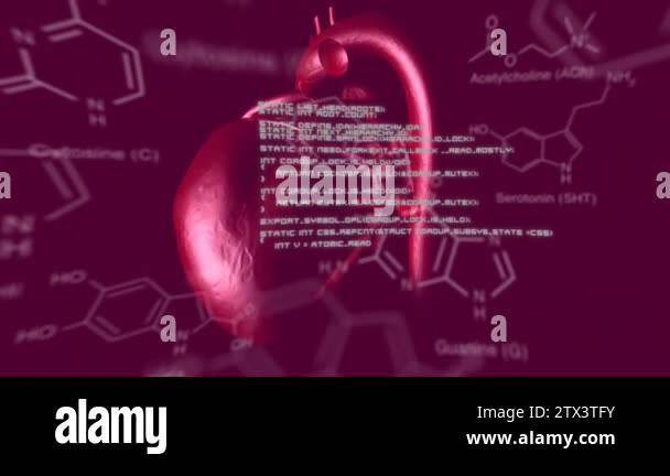 Animation of beating human heart with white data and structural formula ...