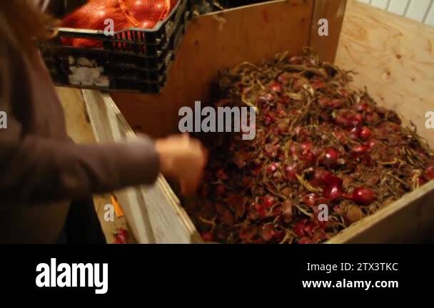 8 hands holding Stock Videos & Footage - HD and 4K Video Clips - Alamy