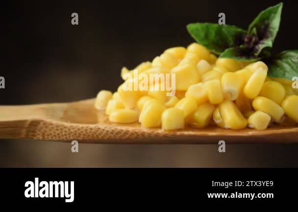 Gastronomía Stock Videos & Footage - HD and 4K Video Clips - Alamy