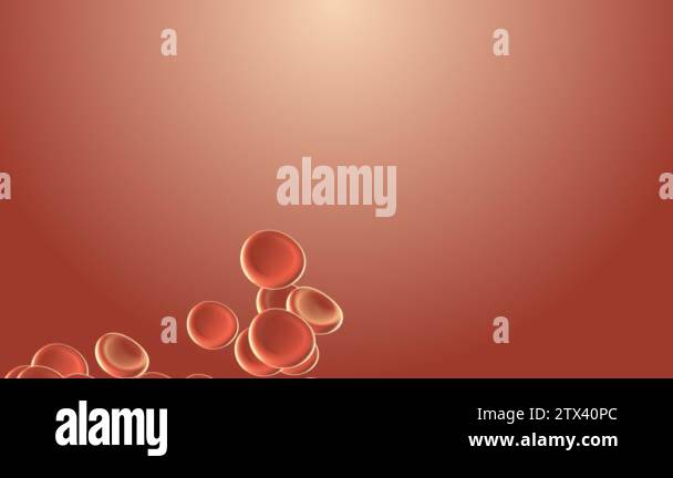 Blood cancer virus Stock Videos & Footage - HD and 4K Video Clips - Alamy