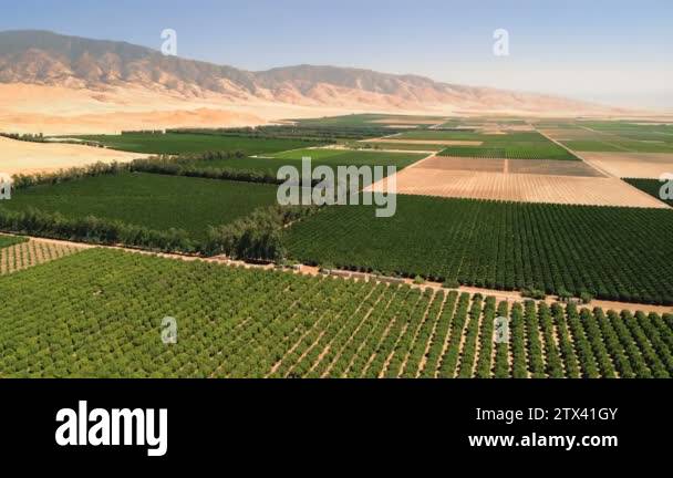 Farming. Agricultural farming land growing fruit and vegetable crops ...