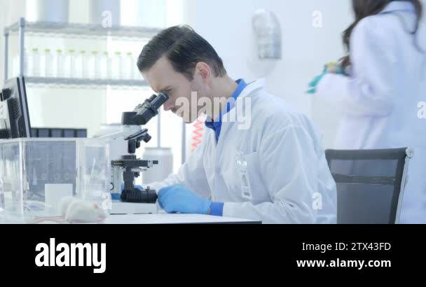Team of Medical Research Scientists Work on Modern Laboratory with ...