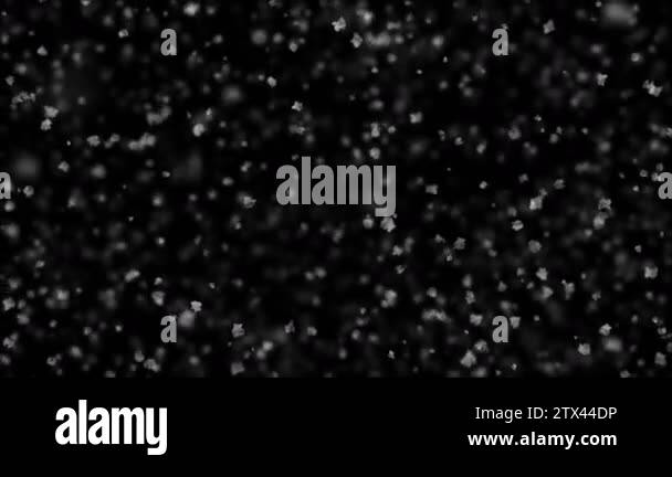 Gentle Christmas Snow Falling on Black Background with Slow Breeze ...